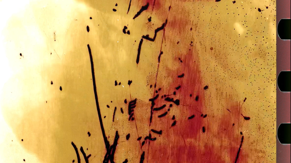 All-in-one film emulation | ACIDBITE