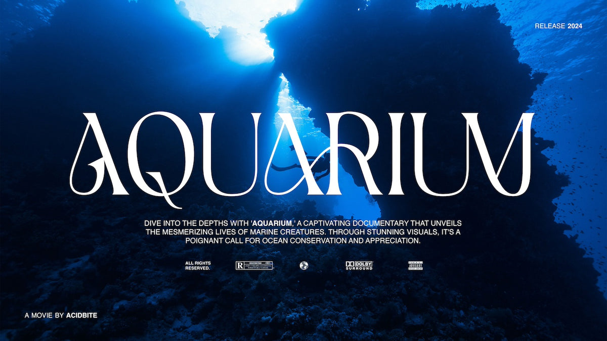 Bold Titles | ACIDBITE