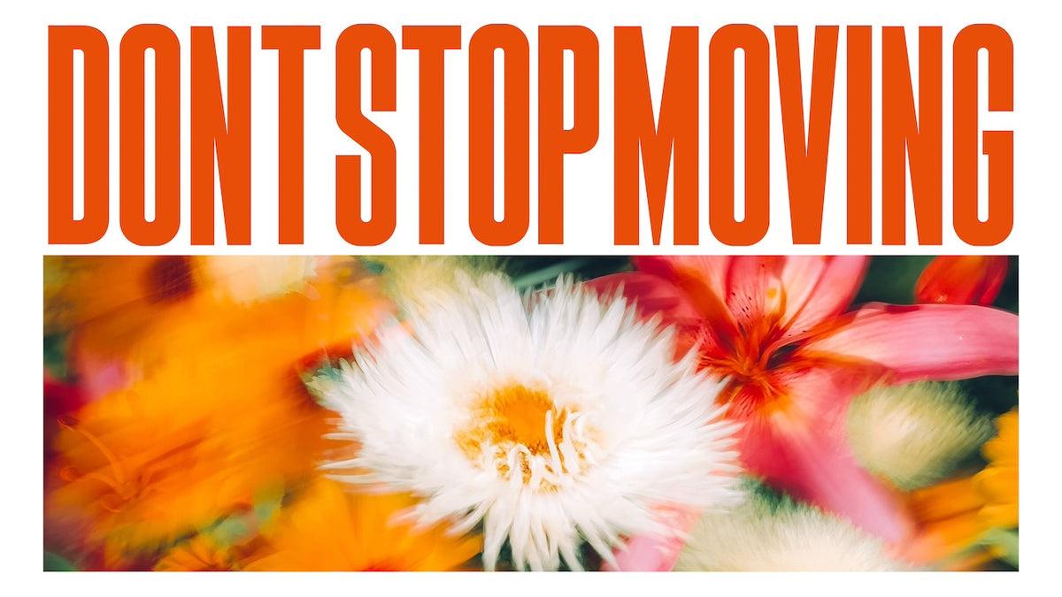 Bold Titles | ACIDBITE