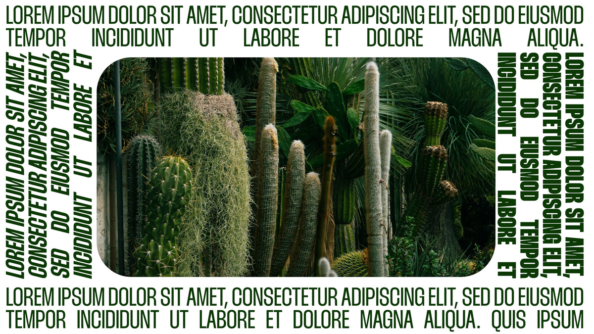 Bold Titles | ACIDBITE