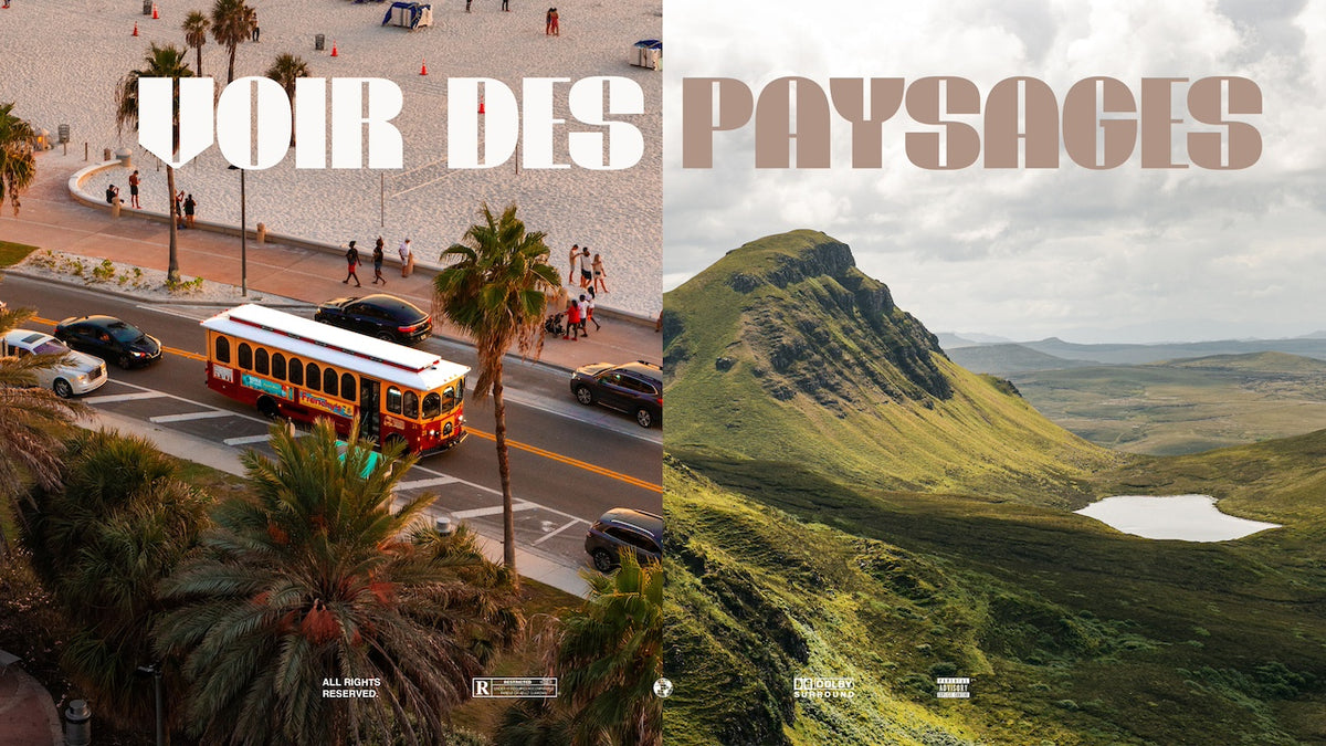 Bold Titles | ACIDBITE