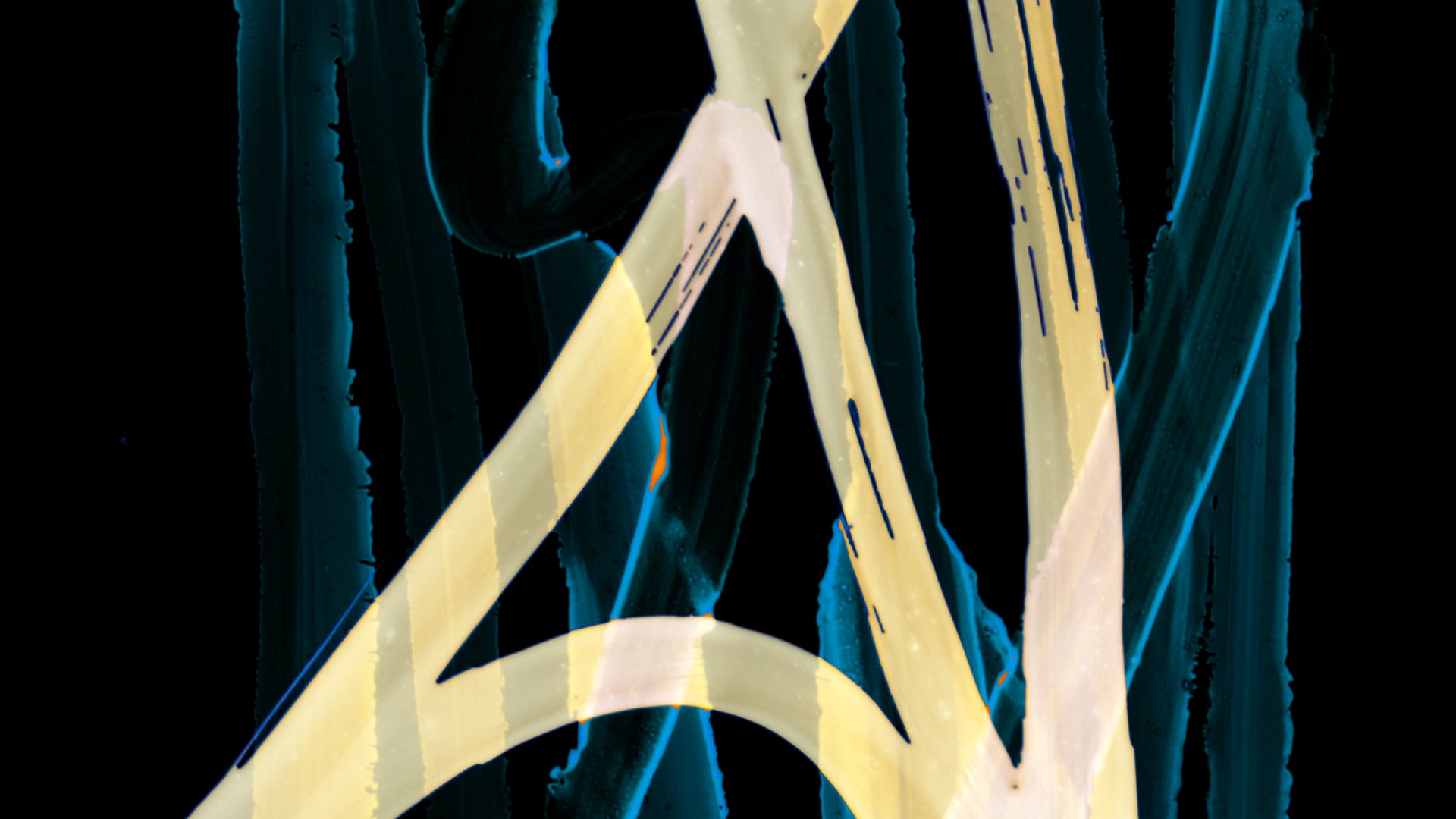 Film tag animations toolbox | ACIDBITE