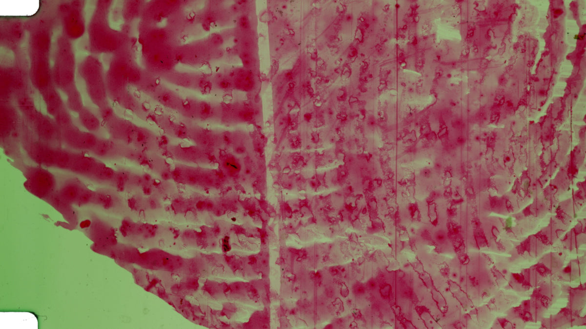 Grungy film strip transitions | ACIDBITE