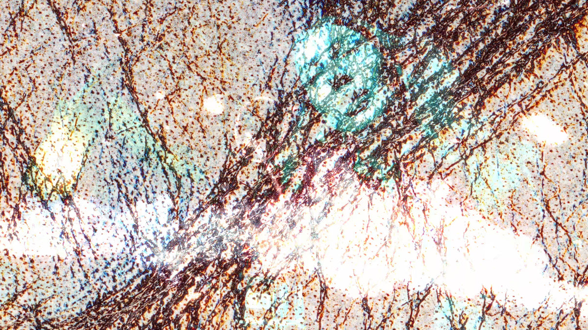 30 grunge overlays | ACIDBITE