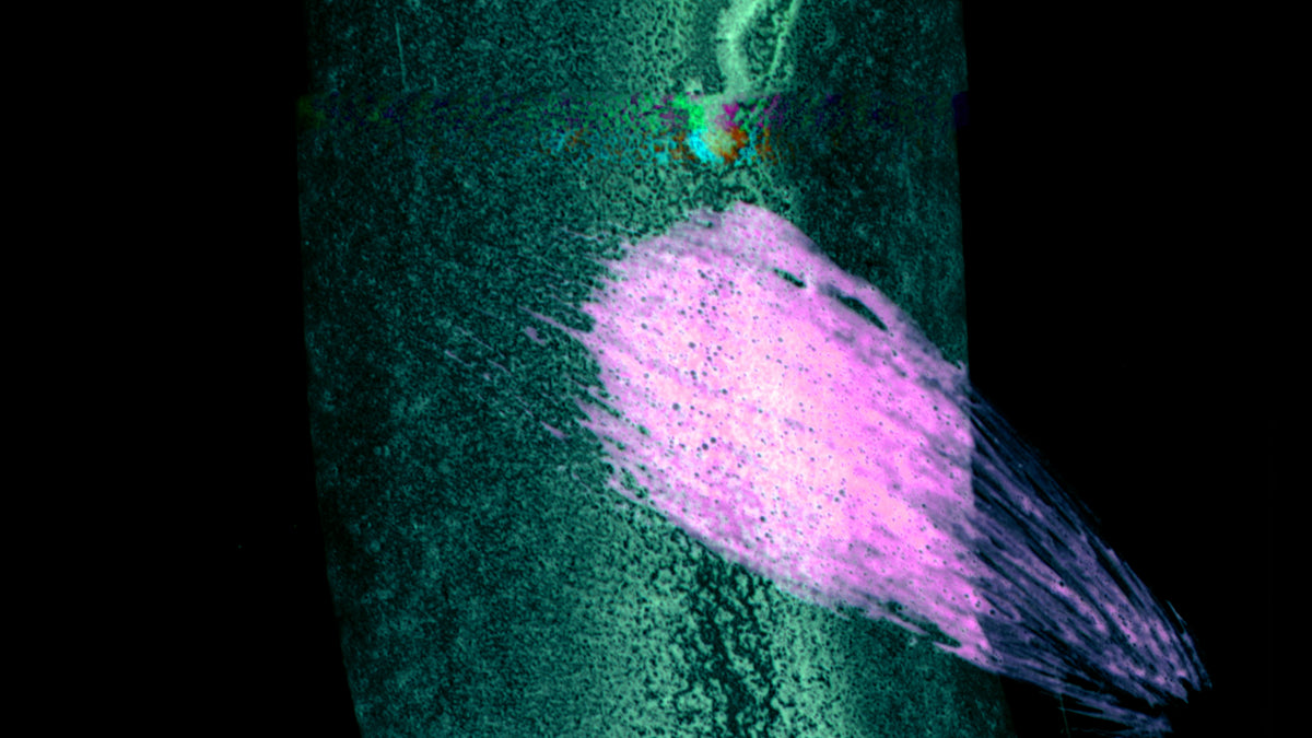 Dirty analog textures & transitions | ACIDBITE