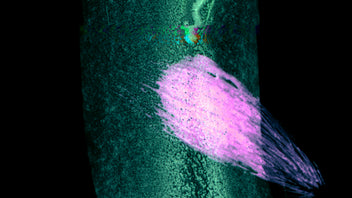 Dirty analog textures & transitions | ACIDBITE