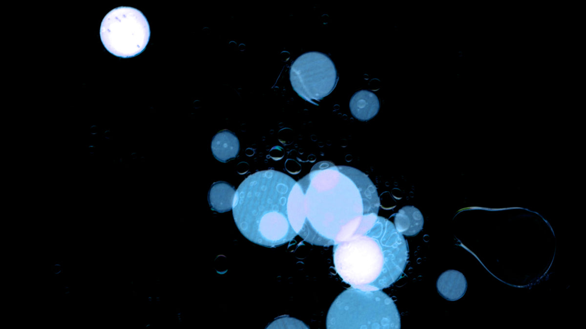 Dirty analog textures & transitions | ACIDBITE