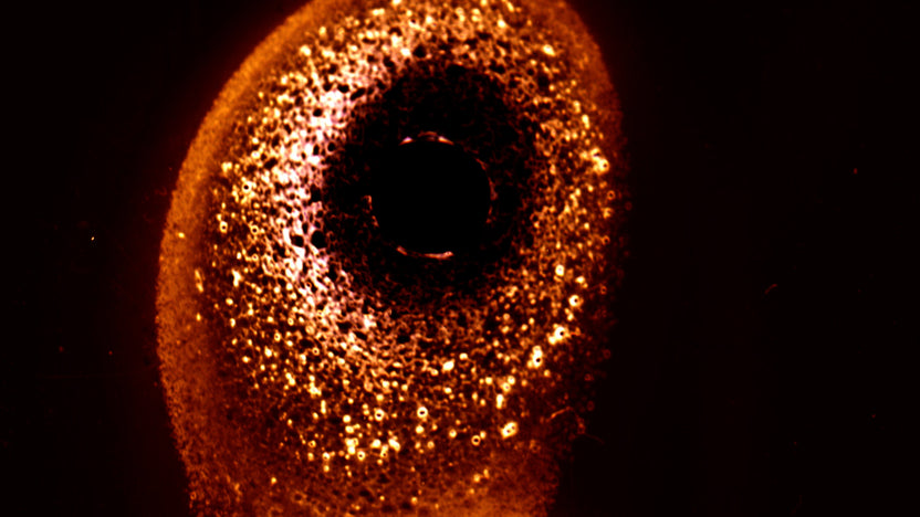 Dirty analog textures & transitions | ACIDBITE