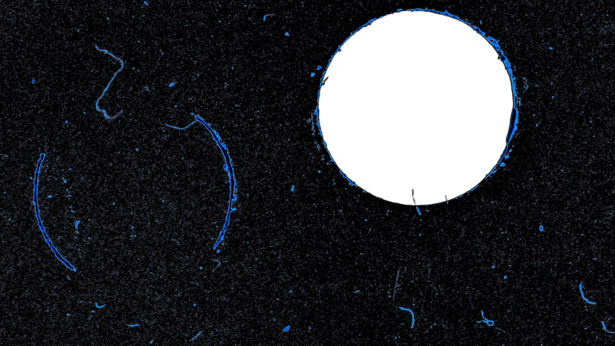 Punch Hole Freebie | ACIDBITE