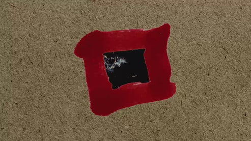 Dissected Textures | ACIDBITE