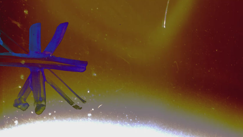 DynamiXXX | ACIDBITE